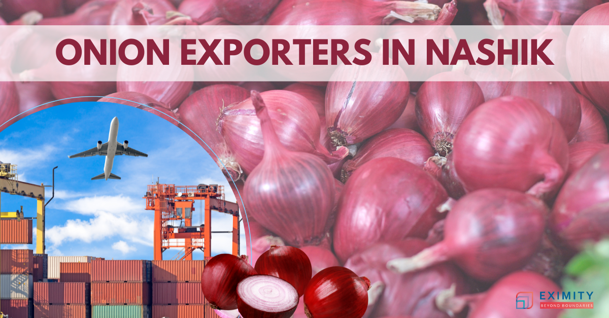 Onion Exporters in Nashik Quality, Capacity and Market Reach