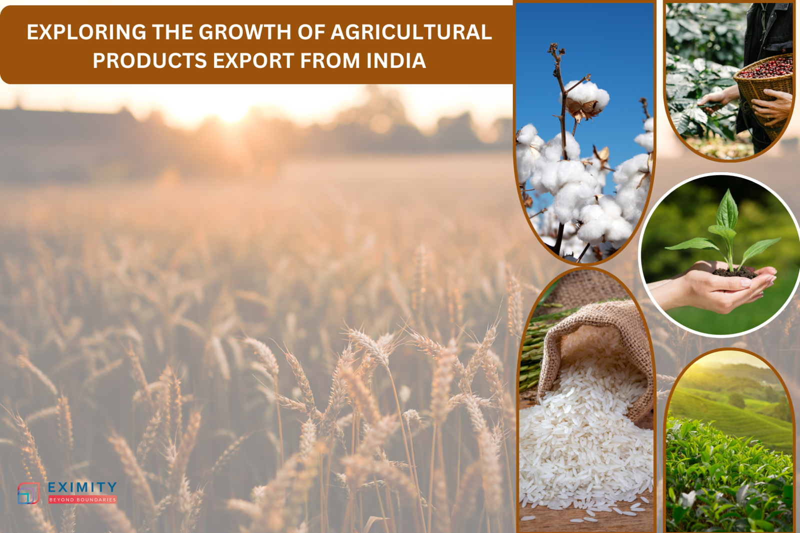 Agricultural Products Export from India