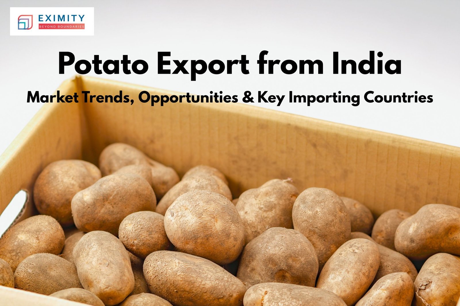 Potato Export from India: Market Trends and Opportunities