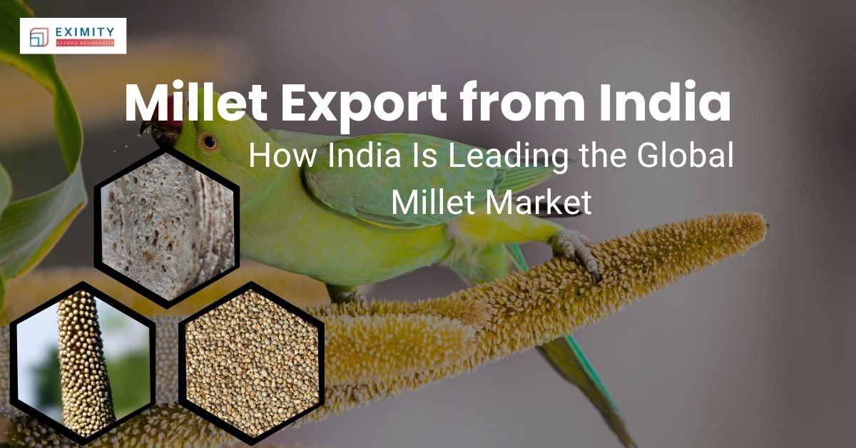 Millet Export from India: Leading the Global Market