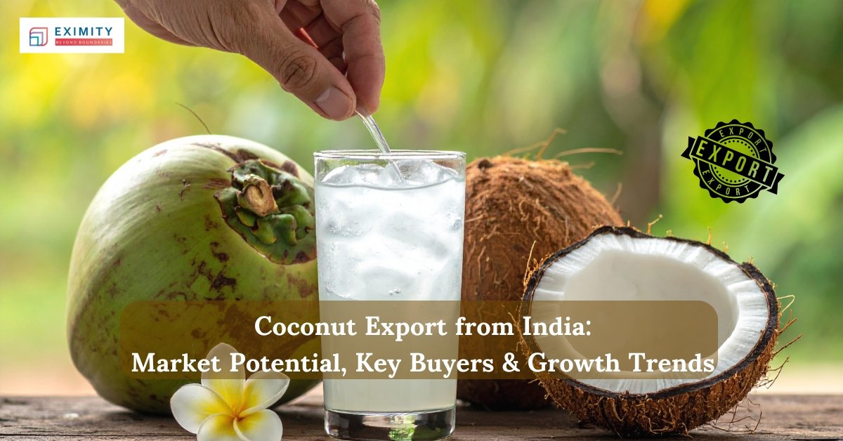 Coconut Export from India: Market Trends & Key Buyers